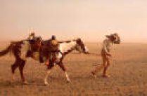 Hidalgo - Gamereactor 中文版